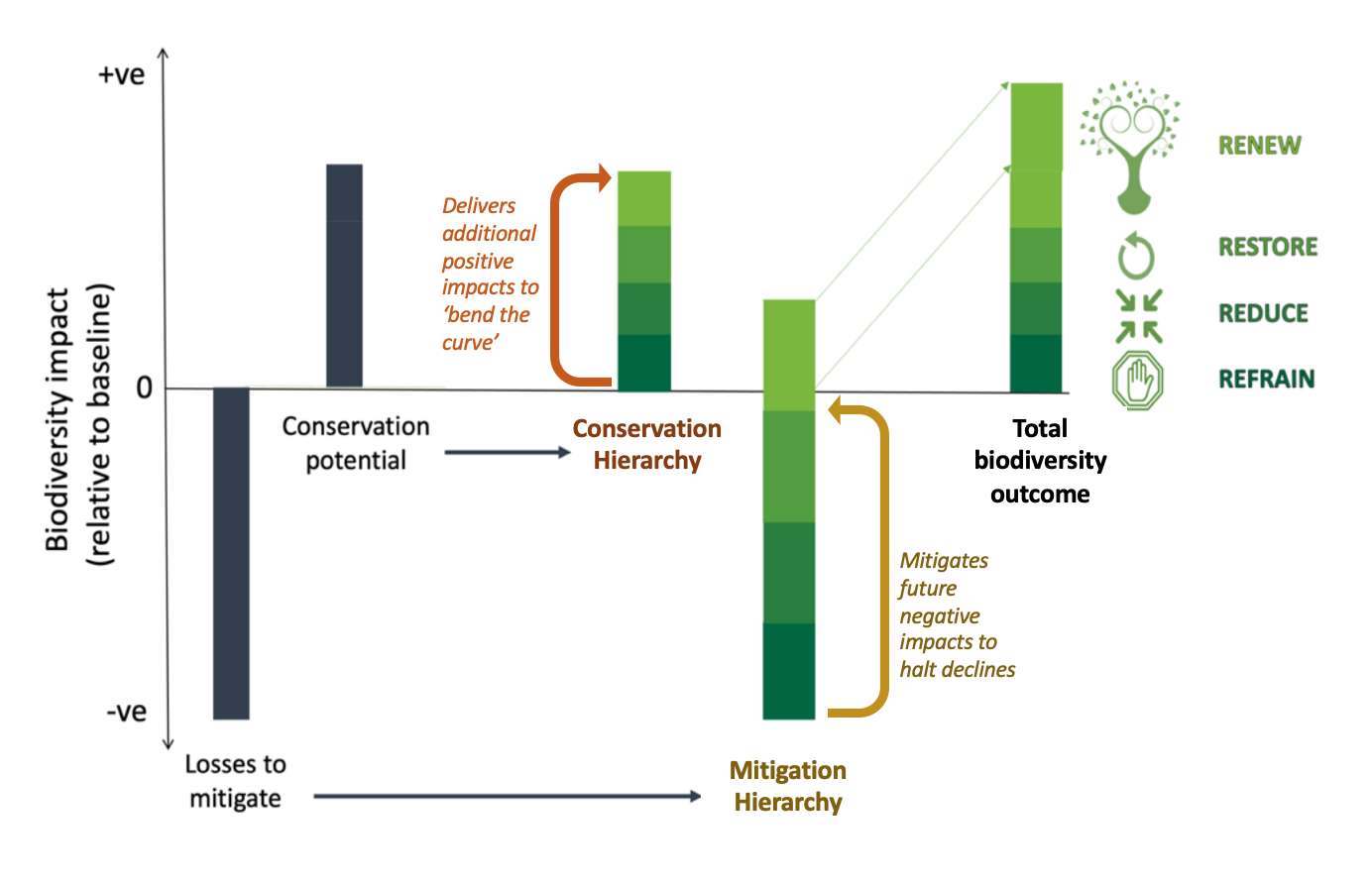 Four Steps for the Earth: becoming ‘nature-positive’ by 2030 - ICCS