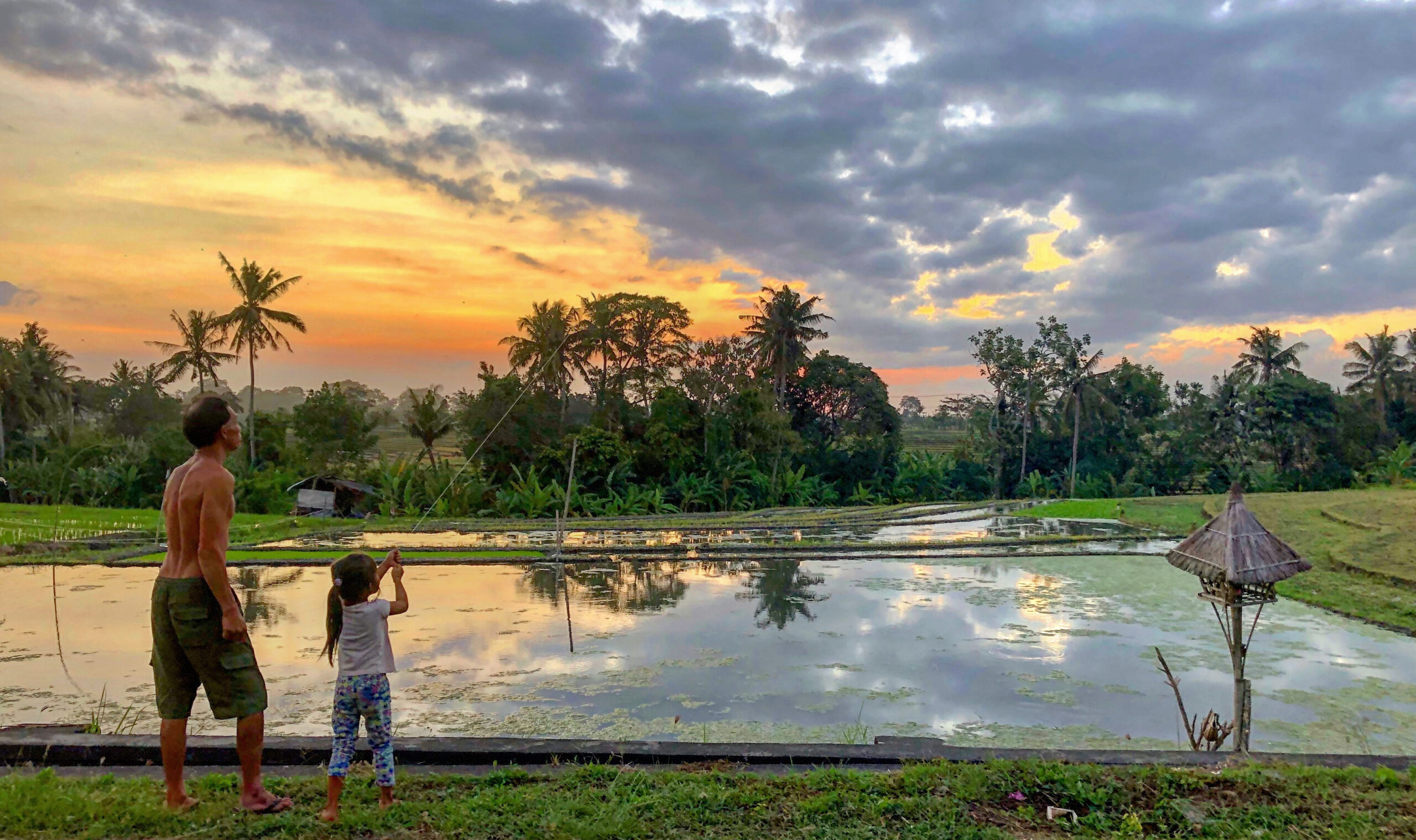 Four Steps for the Earth: becoming ‘nature-positive’ by 2030 - ICCS