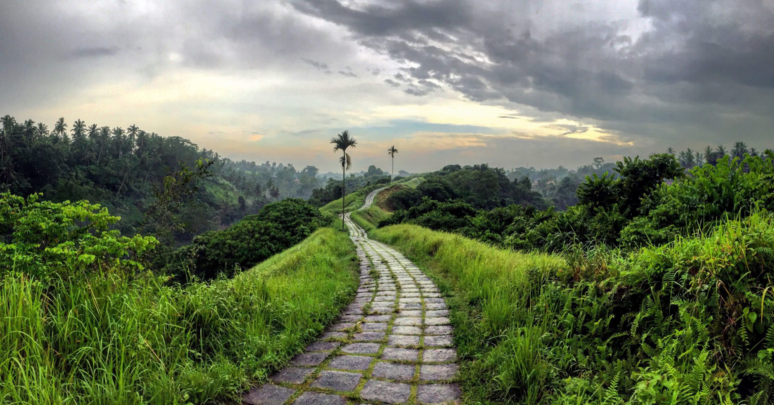 The Mitigation & Conservation Hierarchy - ICCS