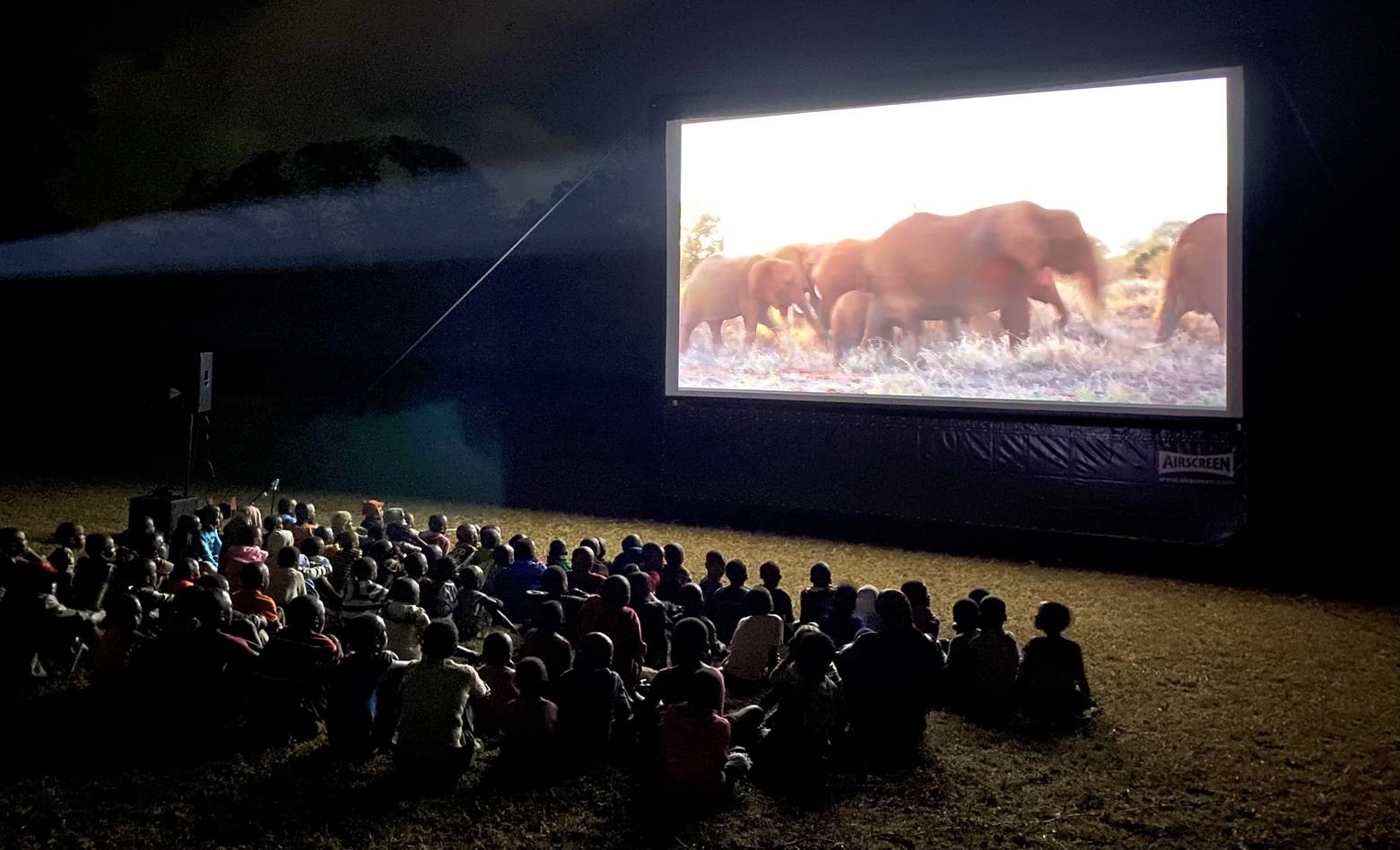The Elephant Queen: how impactful can a natural history film really be ...