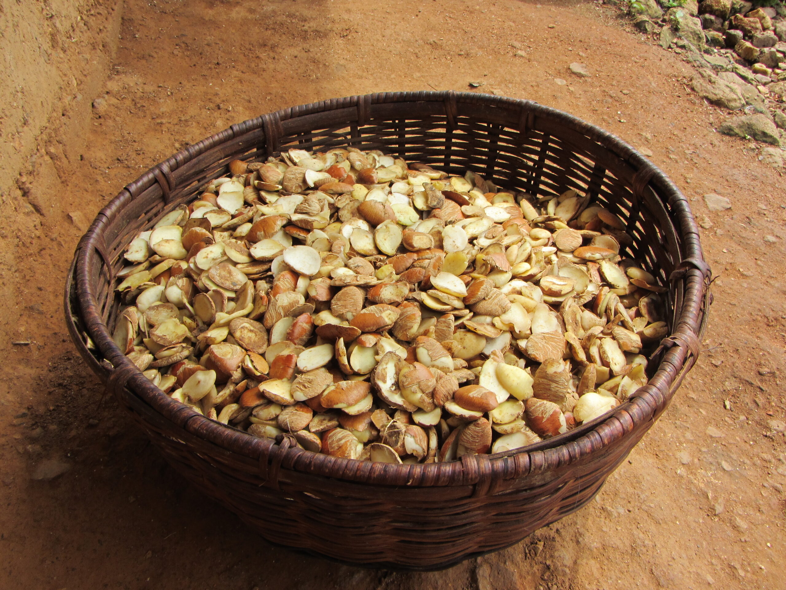 Sustainable Food - ICCS