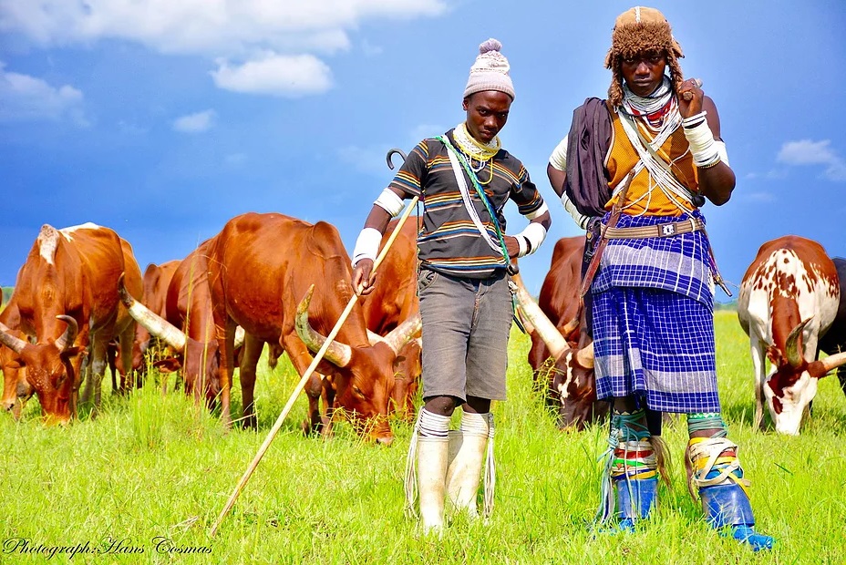 Sustainable Food - ICCS