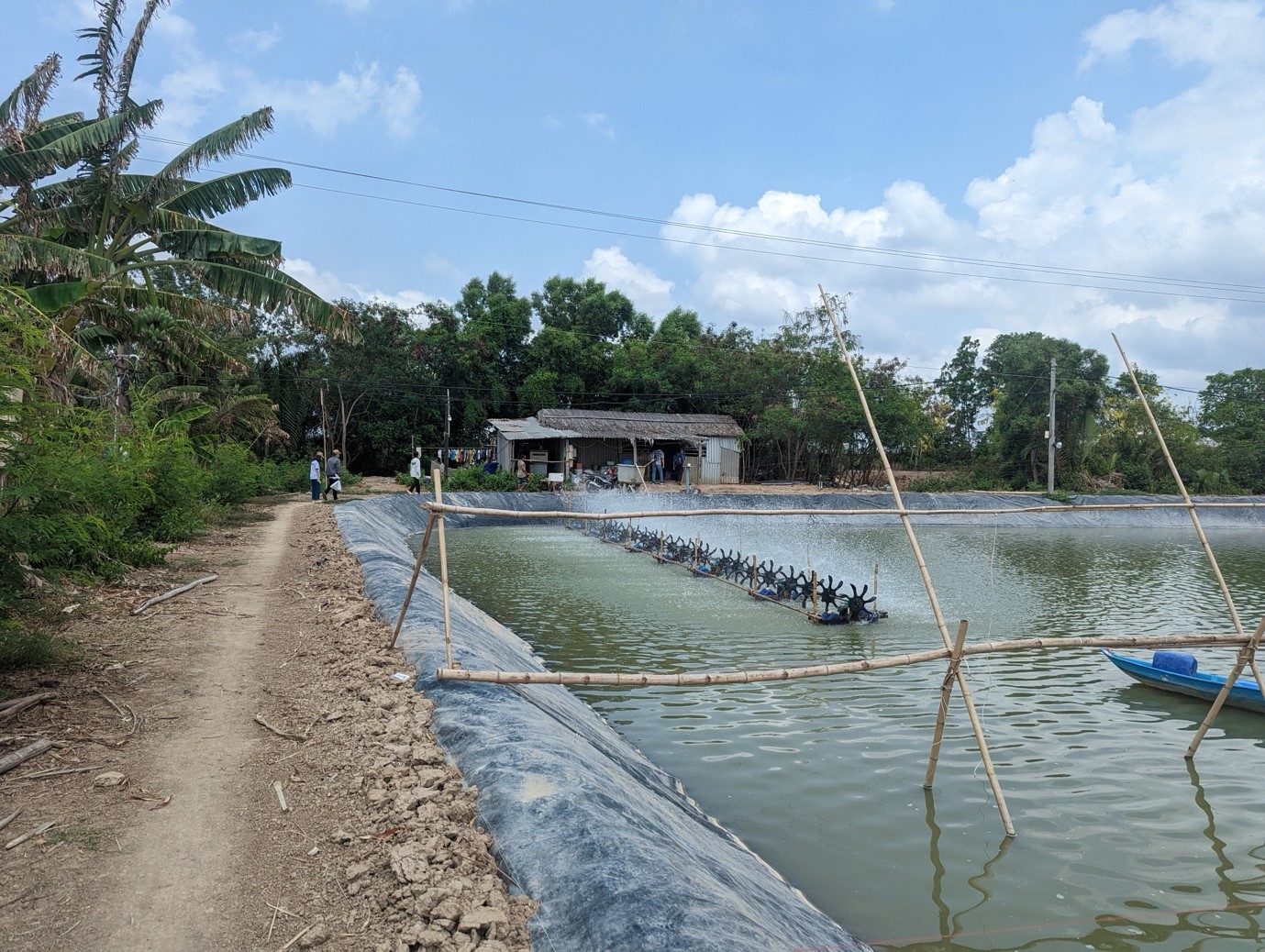 Shrimp farming sustainability in Viet Nam’s Mekong River Delta - ICCS