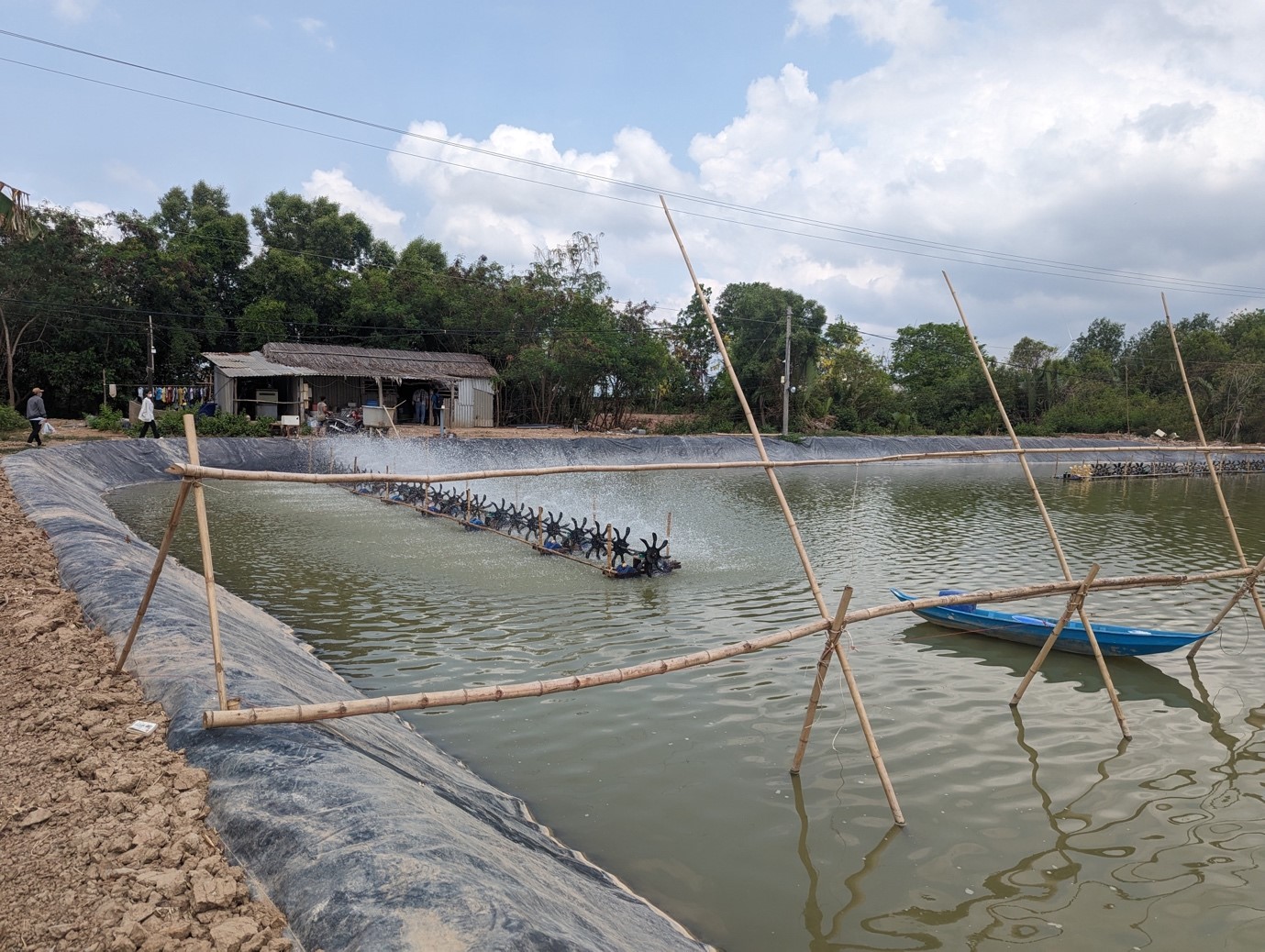 Sustainability Innovation: Evidence-Based Approach to Shrimp Farming ...