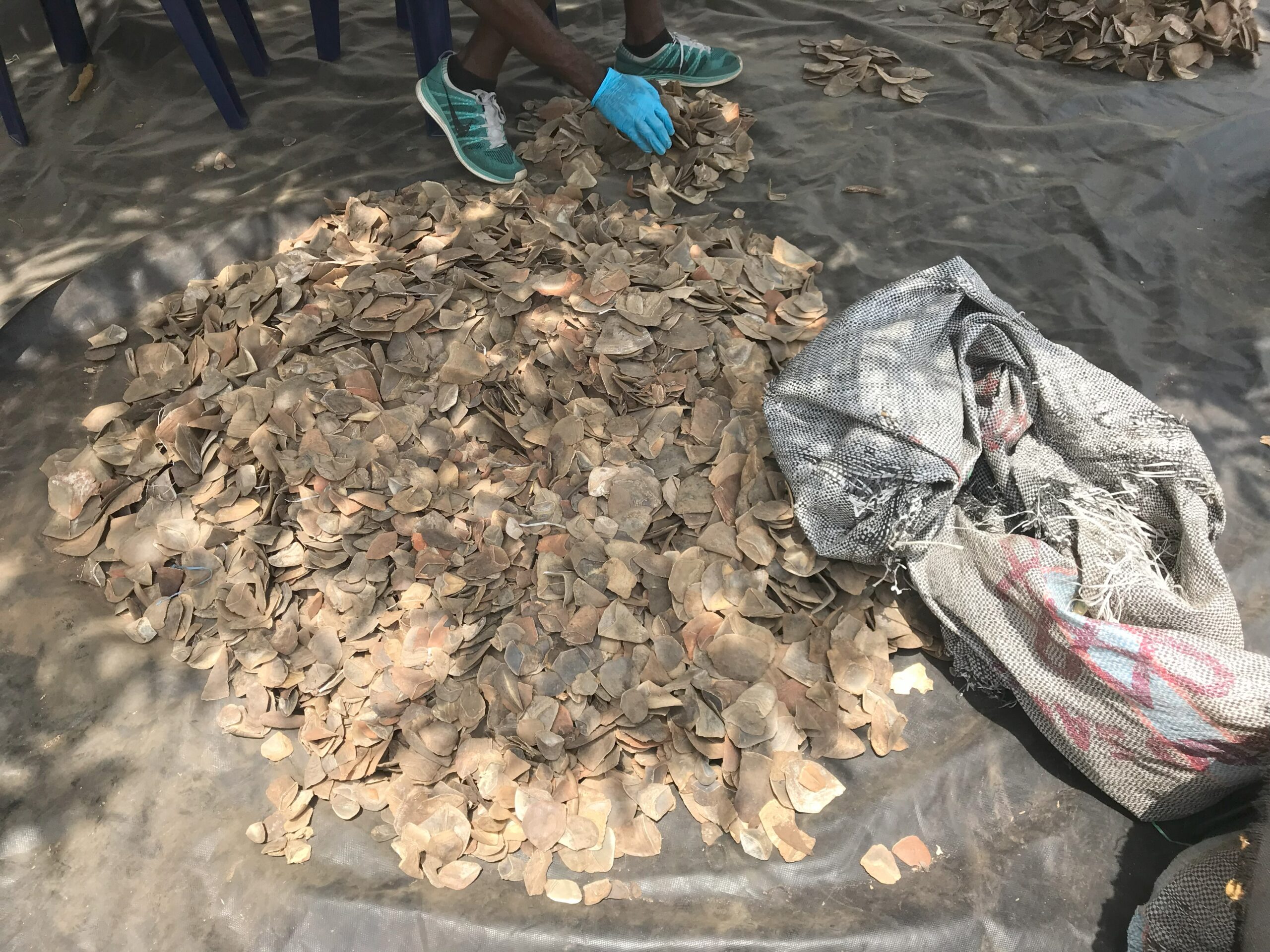 Wildlife Use & Trade - ICCS