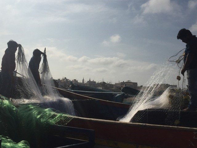 Framing multidisciplinary approaches to bycatch mitigation ...